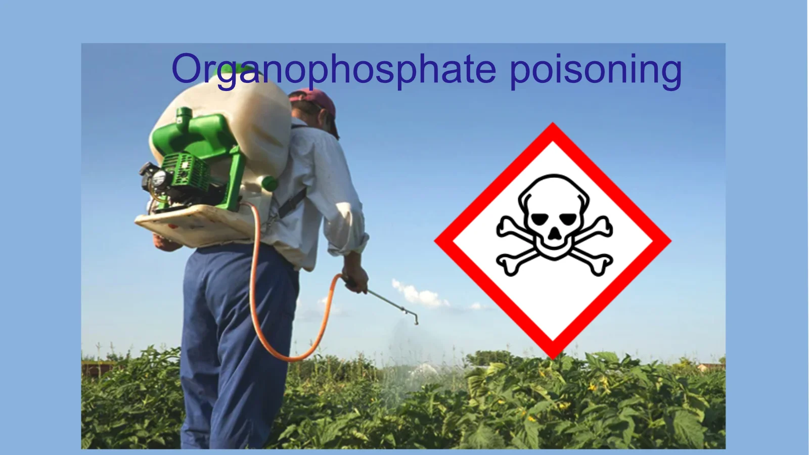 Understanding Organophosphate Poisoning: Symptoms, Treatment, and ...
