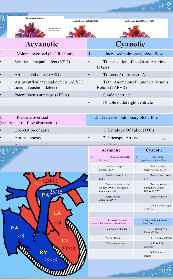 CONGENITAL HEART DISEASE - Your Ultimate Health Resource - Join Our ...